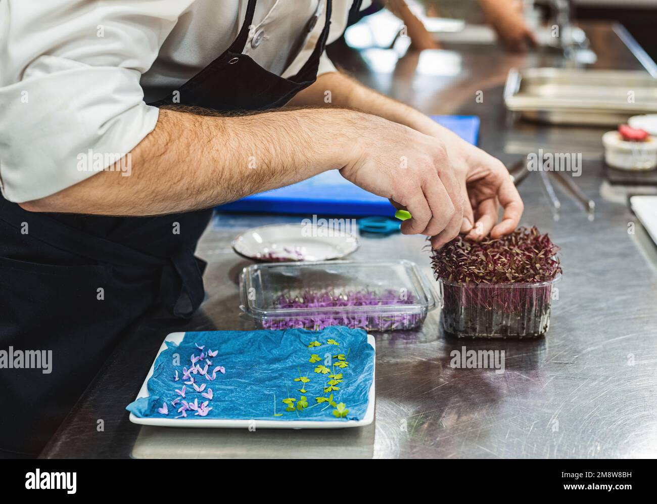 a haute cuisine chef prepares flowers and leaves to garnish the dishes ...