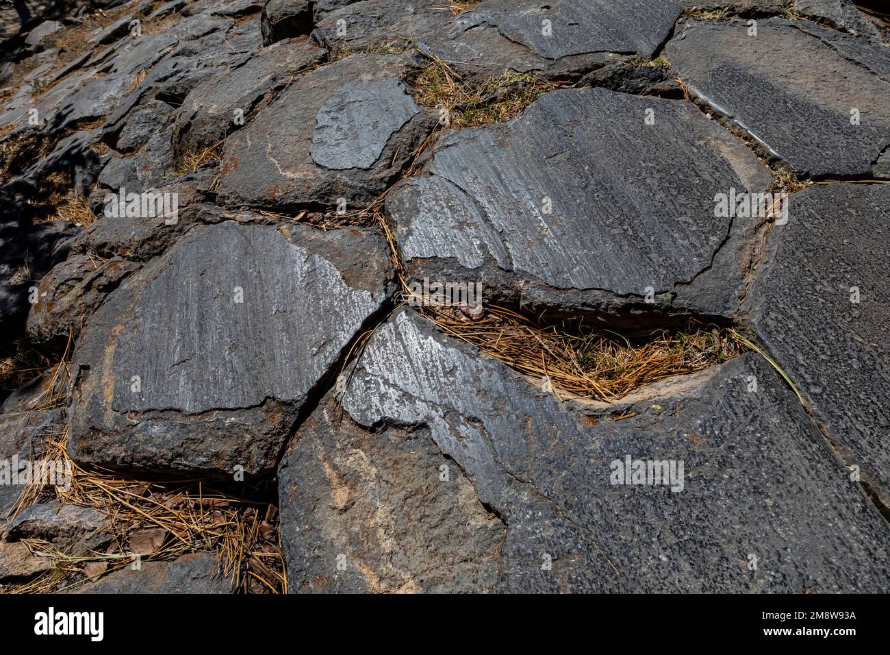 Basaltic columns created by cooling lava in Devils Postpile National ...