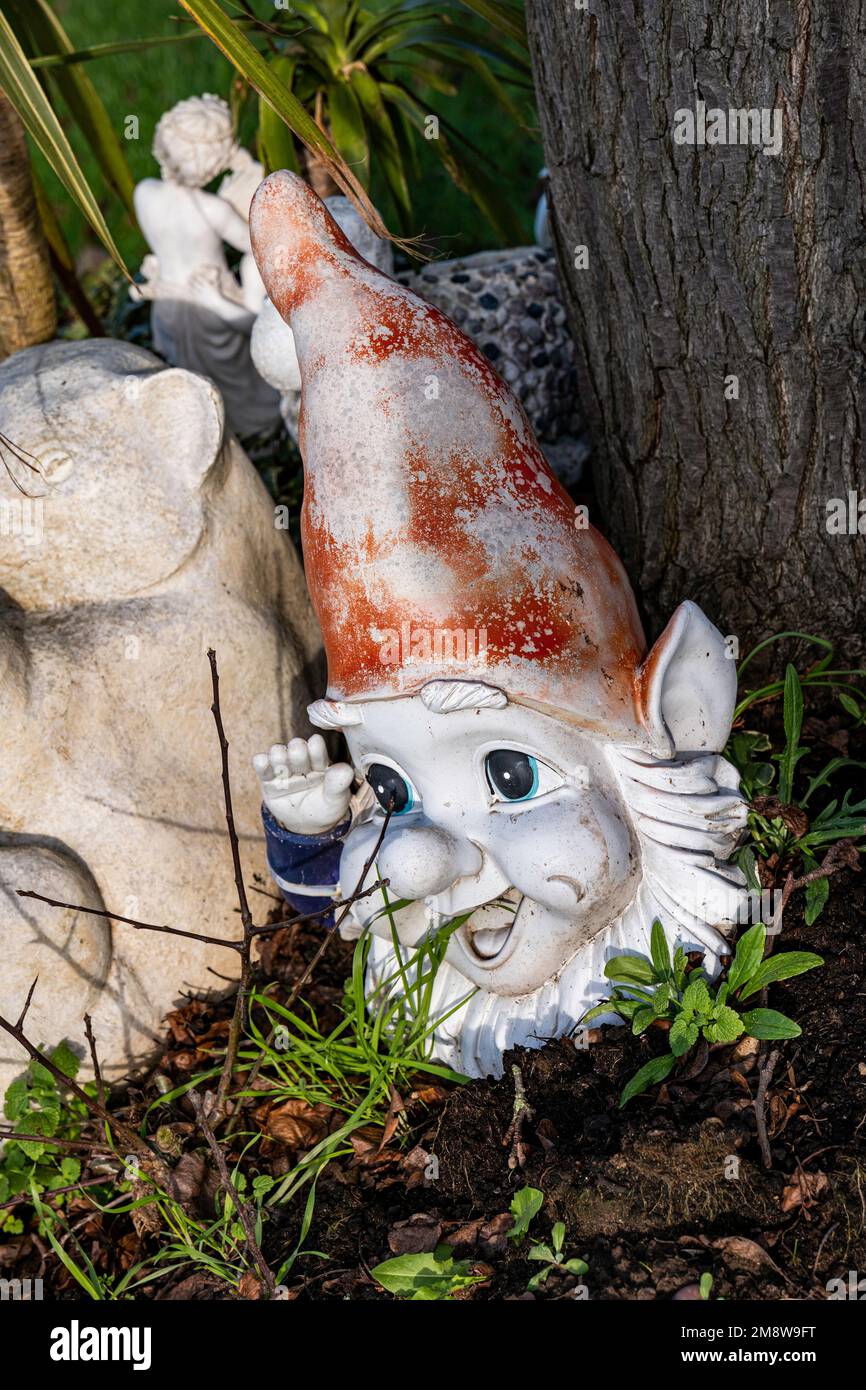 Sunny small garden hi-res stock photography and images - Alamy