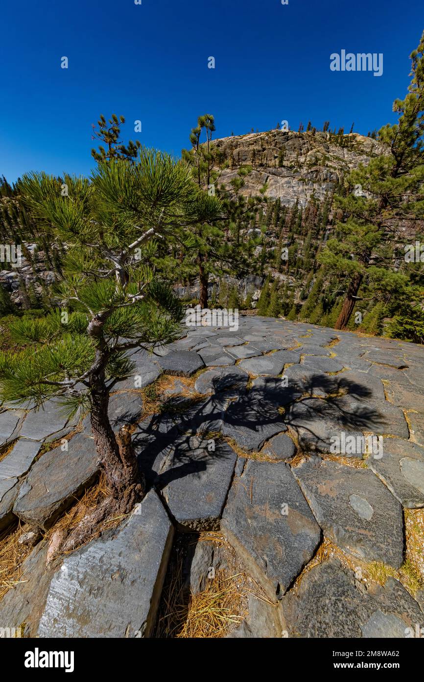Basaltic columns created by cooling lava in Devils Postpile National ...
