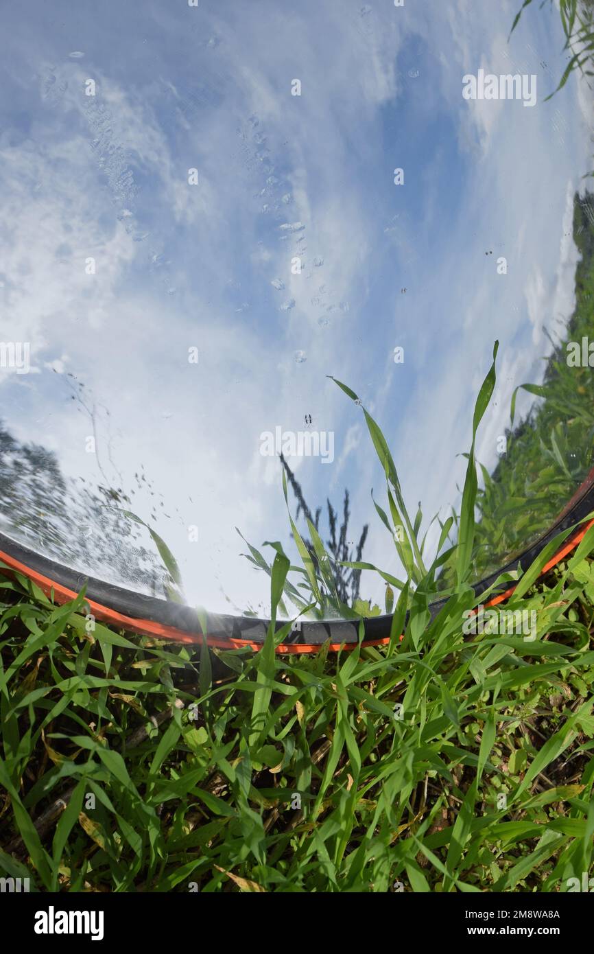Grass and cloudy sky abstract reflections on curved mirror Stock Photo ...