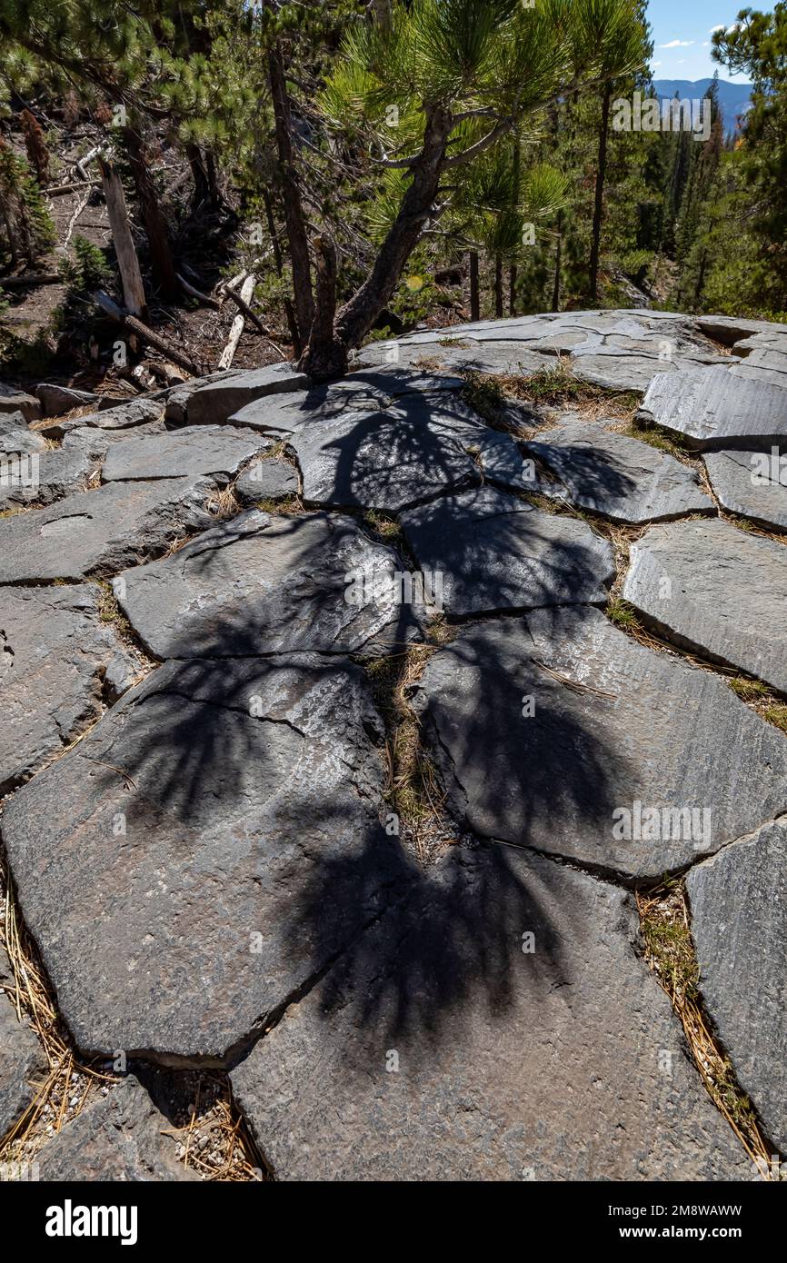 Basaltic columns created by cooling lava in Devils Postpile National ...