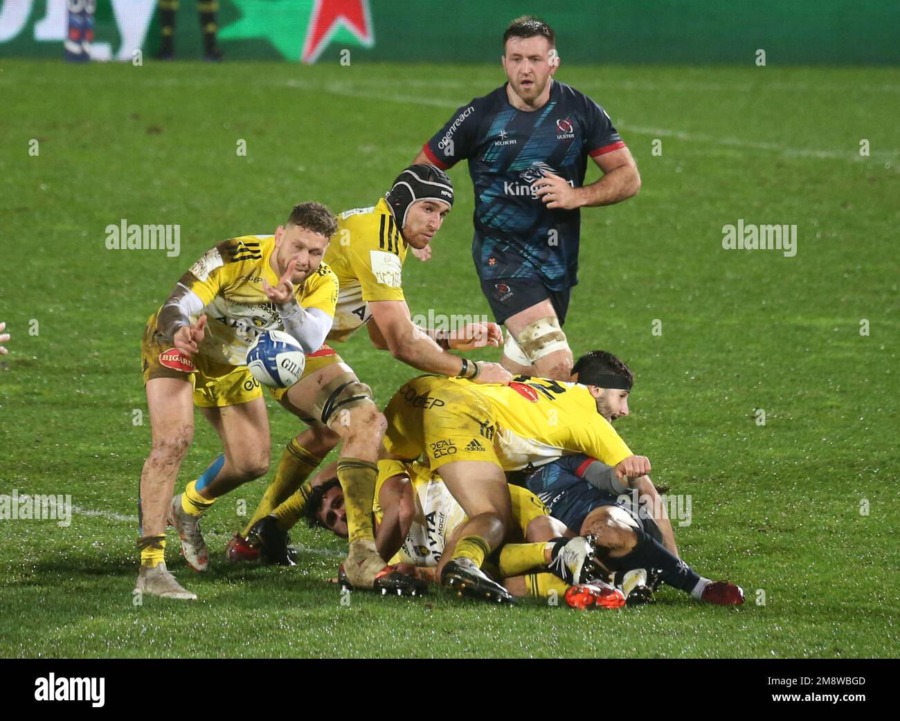 Tawera kerr barlow champions cup hi-res stock photography and images ...