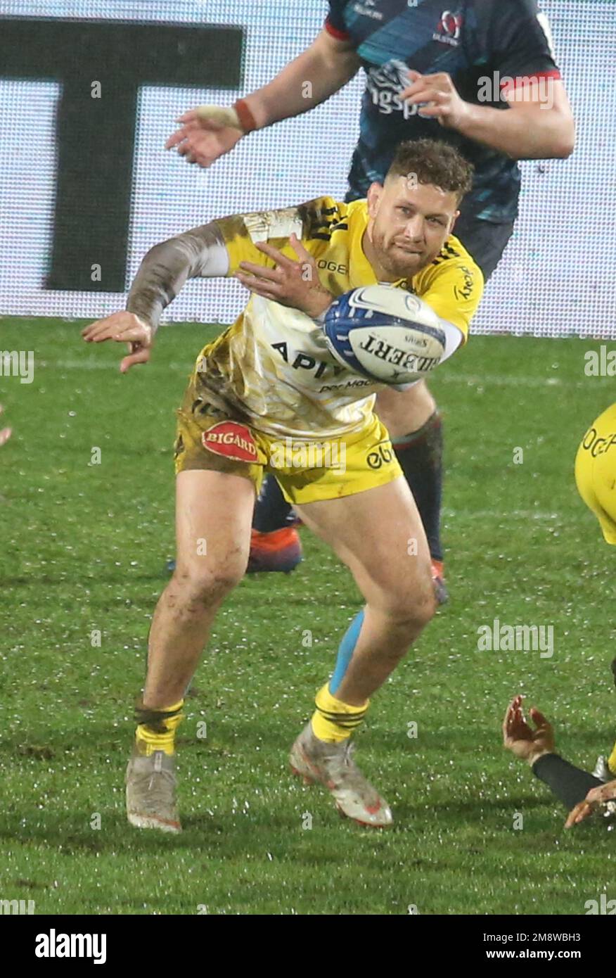 Tawera kerr barlow champions cup hi-res stock photography and images ...