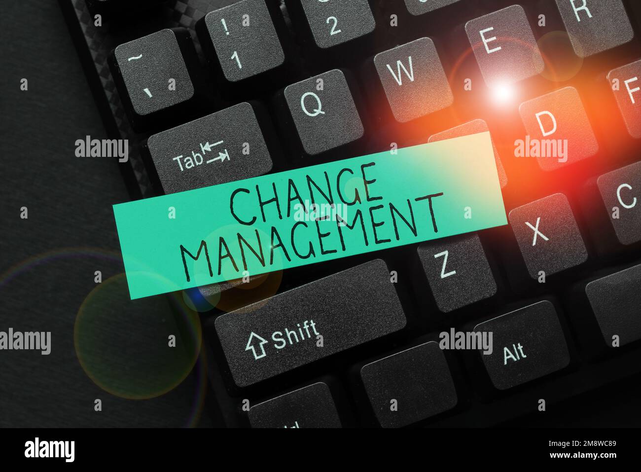 Conceptual caption Change Management. Business overview Replacement of ... Conceptual caption Change Management. Business overview Replacement of ...