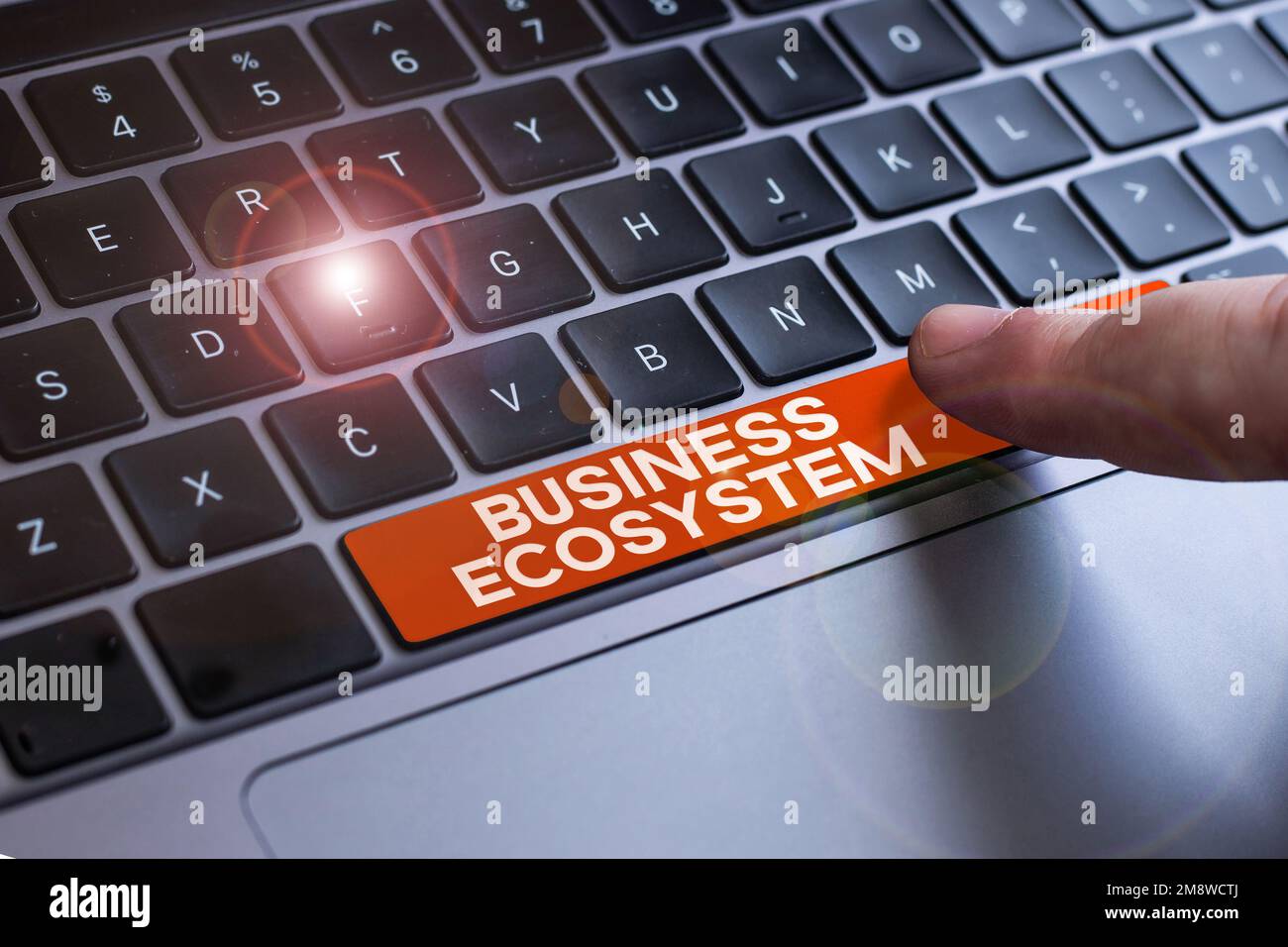 Text showing inspiration Business Ecosystem. Business overview Develop ...