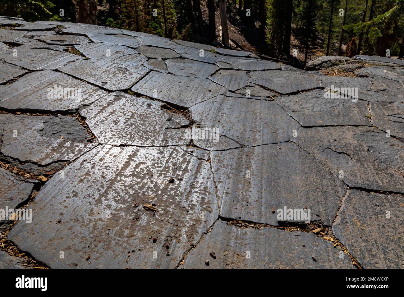 Basaltic columns created by cooling lava in Devils Postpile National ...
