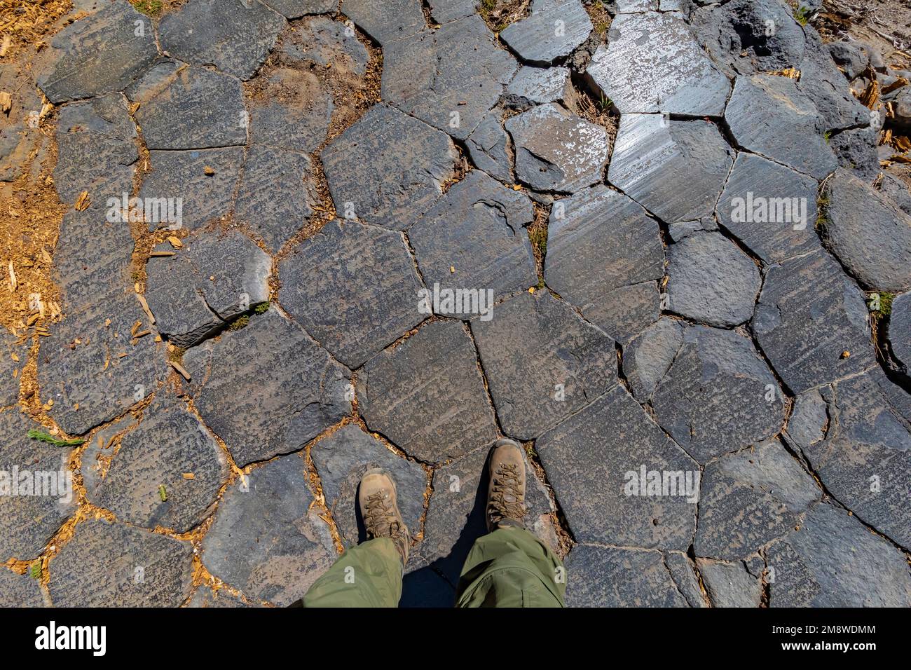 Basaltic columns created by cooling lava in Devils Postpile National ...