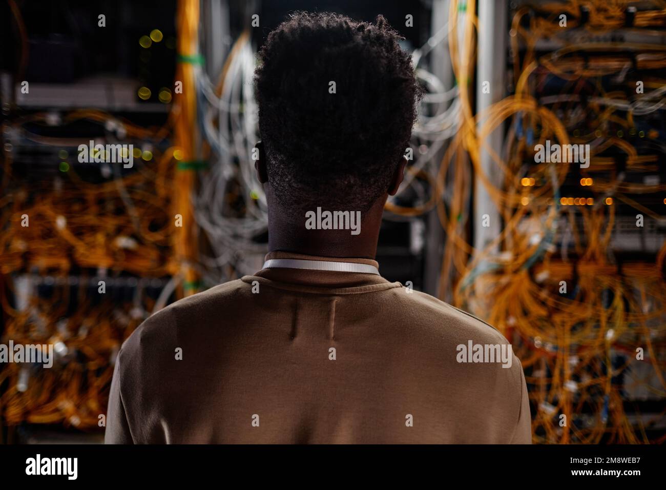 Back view of black young man as system administrator looking at servers ...
