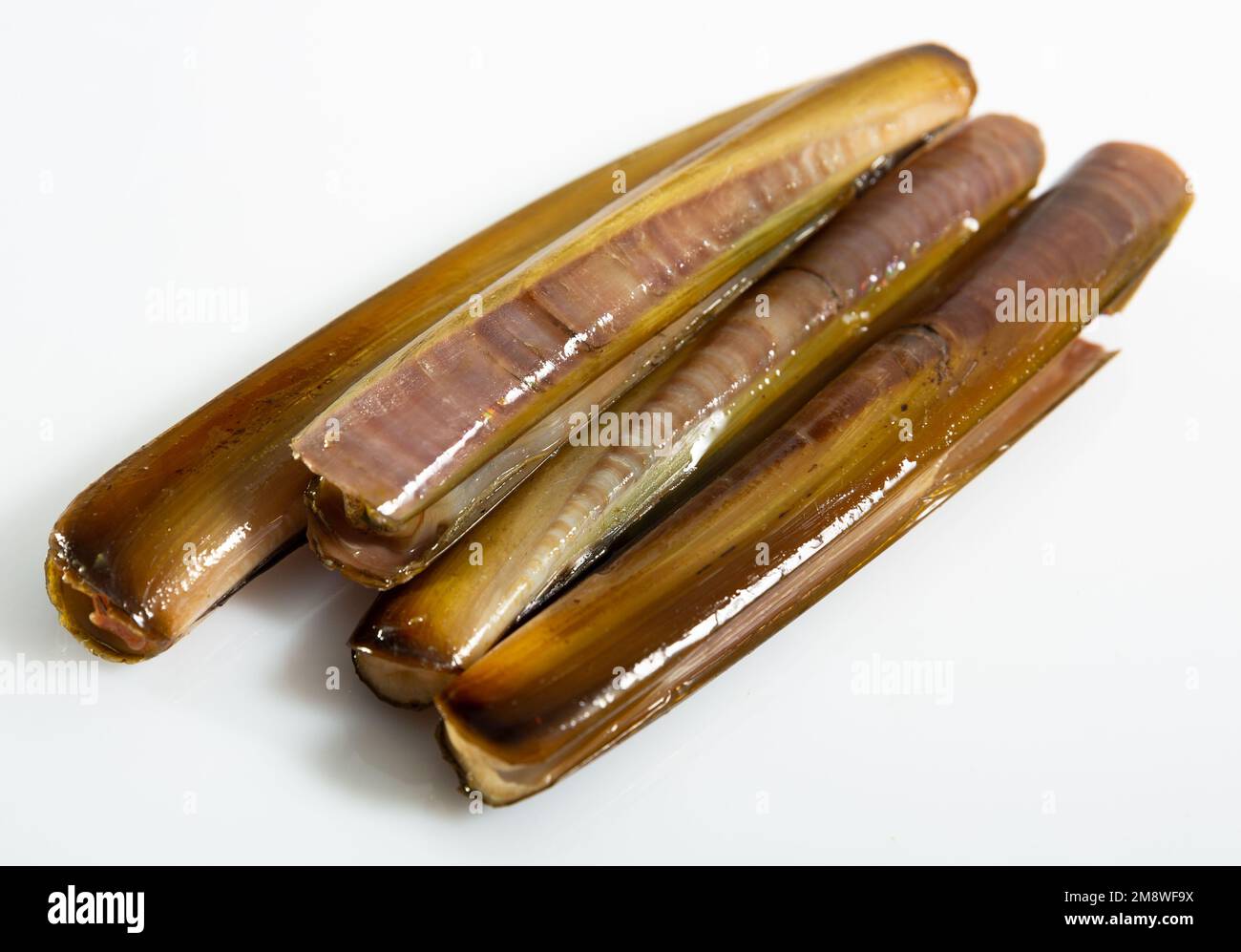 Ensis shell background hi-res stock photography and images - Alamy