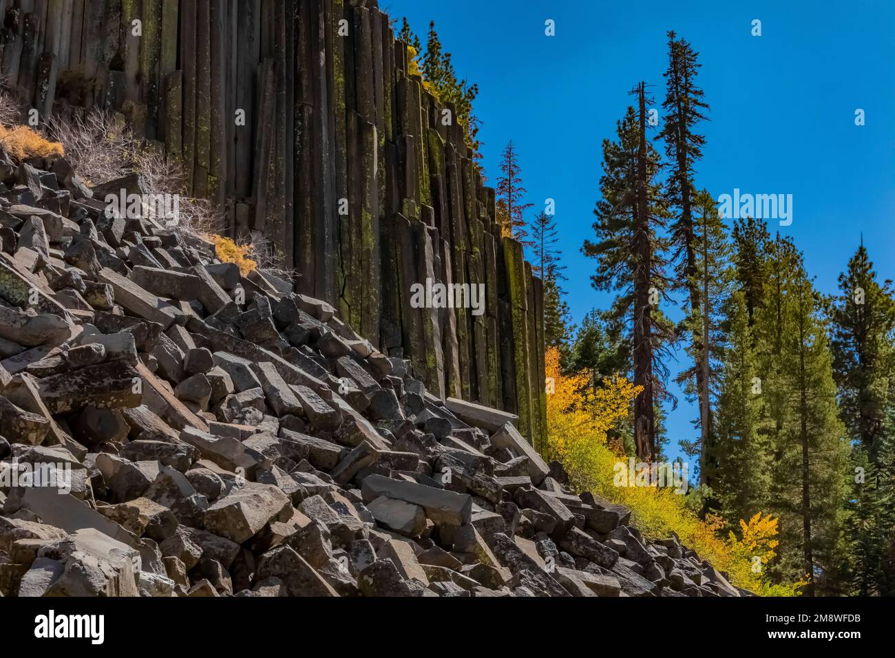 Basaltic columns created by cooling lava in Devils Postpile National ...