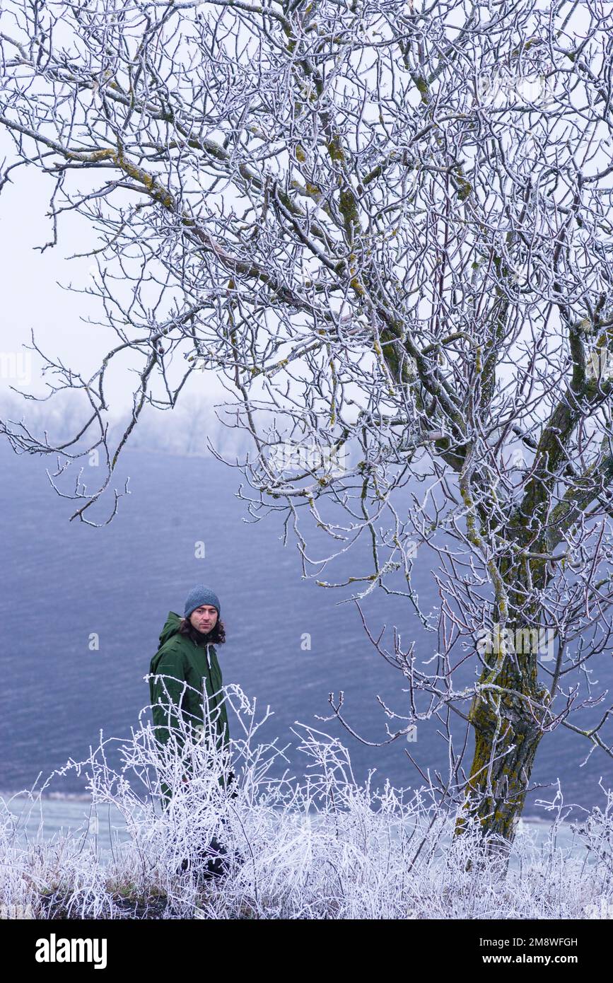 beautiful winter landscape with man playing dog background with snow ...