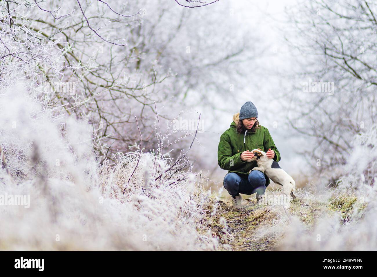 beautiful winter landscape with man playing dog background with snow ...
