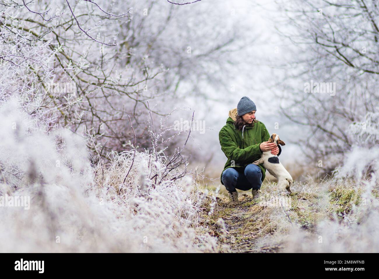 beautiful winter landscape with man playing dog background with snow ...