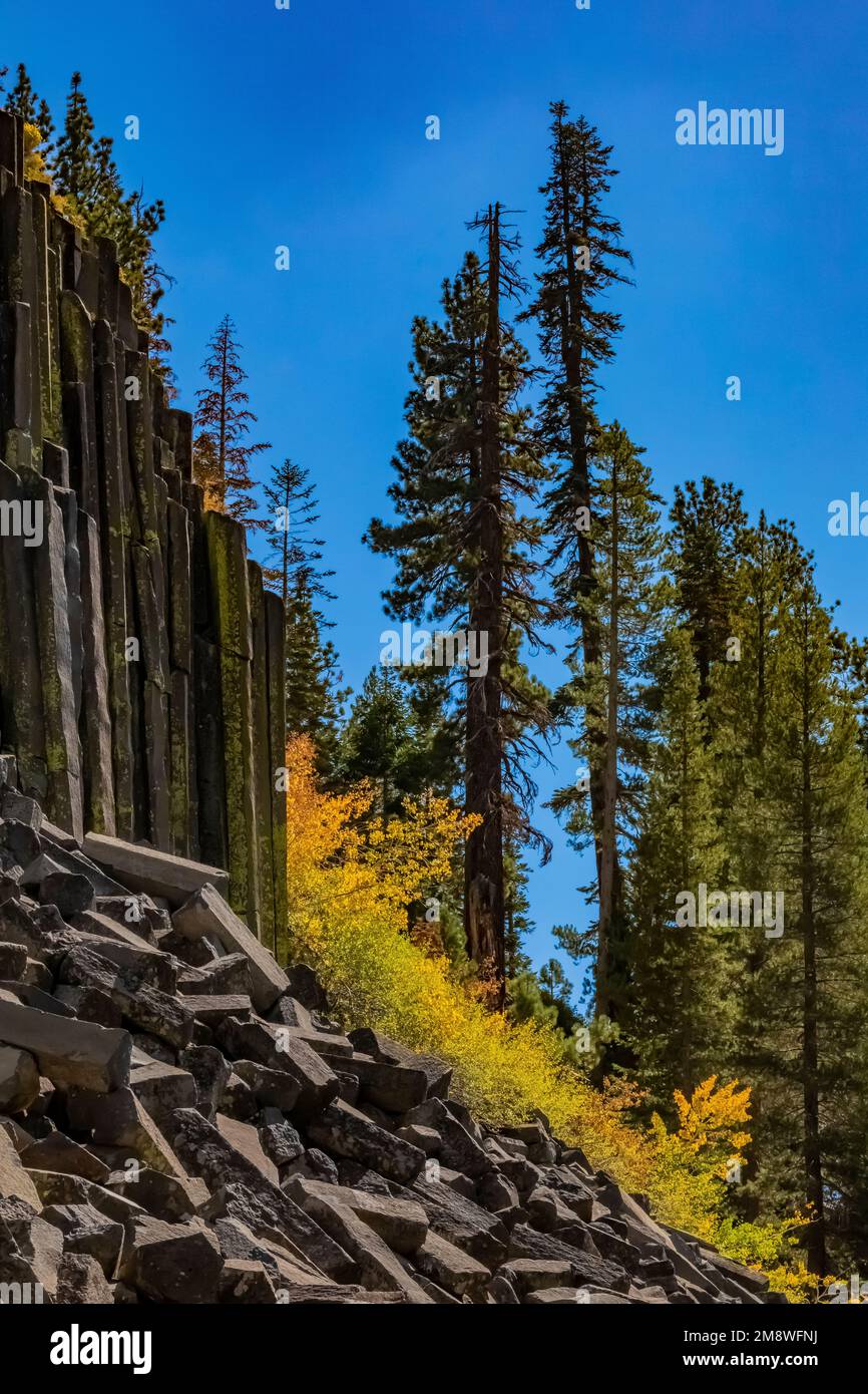 Basaltic columns created by cooling lava in Devils Postpile National ...