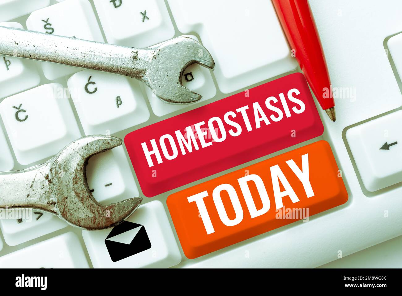 Text caption presenting Homeostasis. Word for the tendency toward a ...