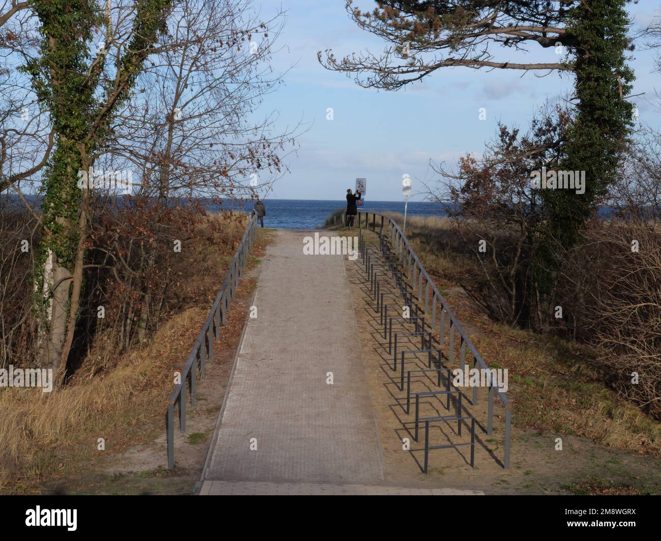 Beach vegetation and path as beach transition from the promenade on the ...