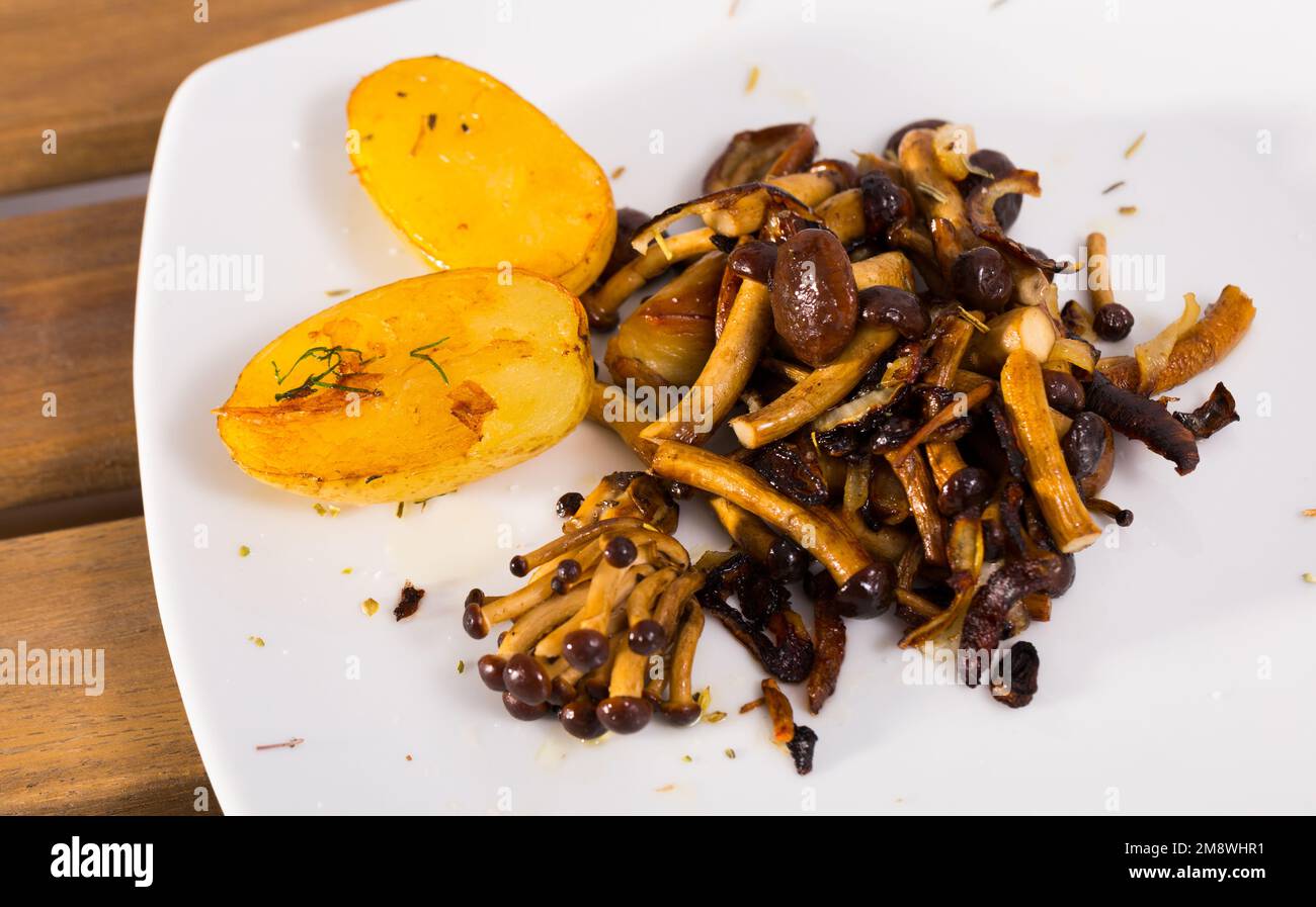 Delicious cooked fried honey fungus mushrooms with young potatoes Stock ...