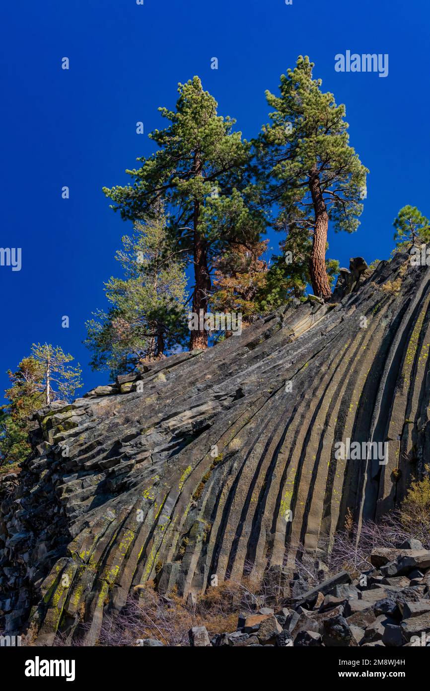 Basaltic columns created by cooling lava in Devils Postpile National ...