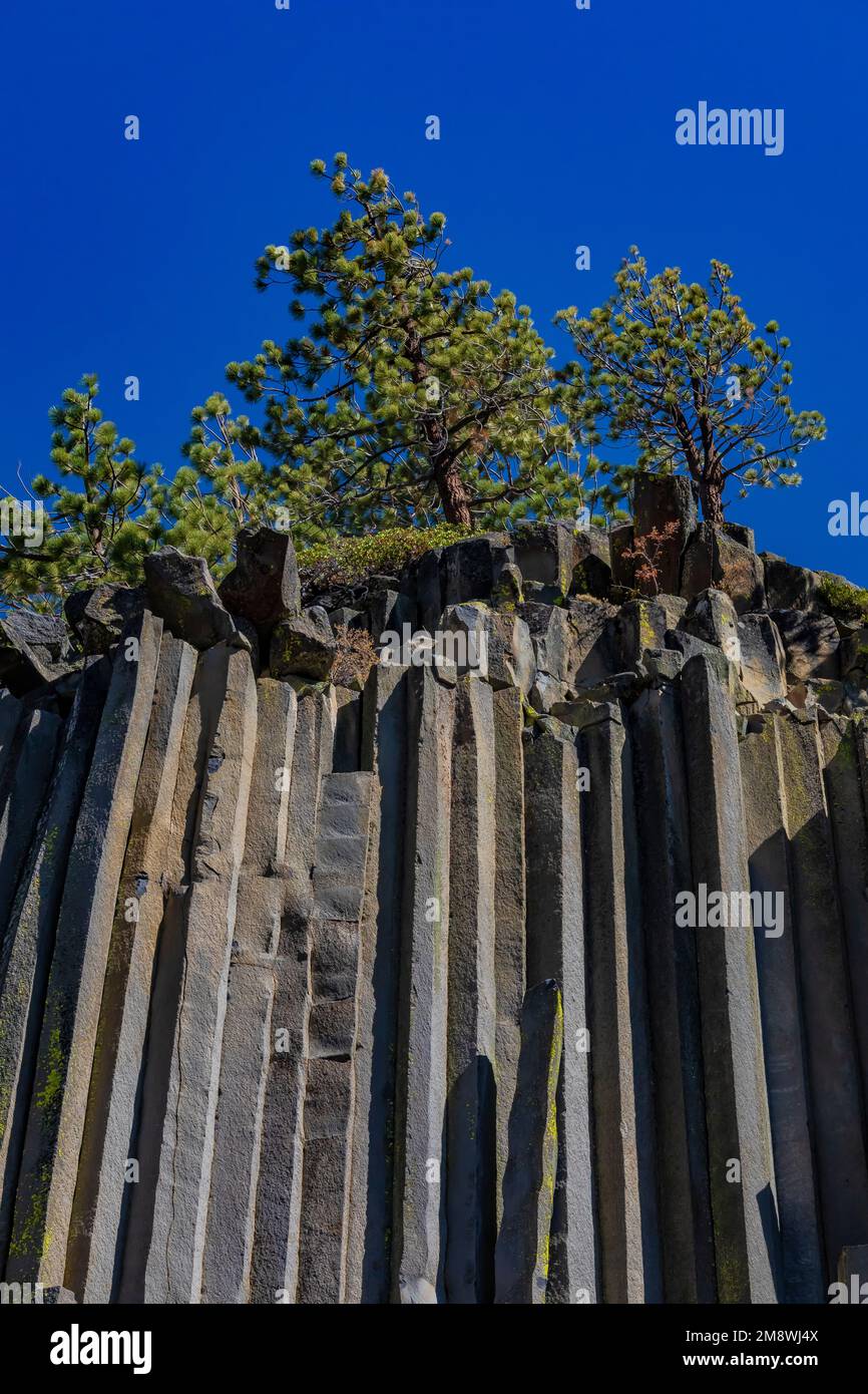 Basaltic columns created by cooling lava in Devils Postpile National ...