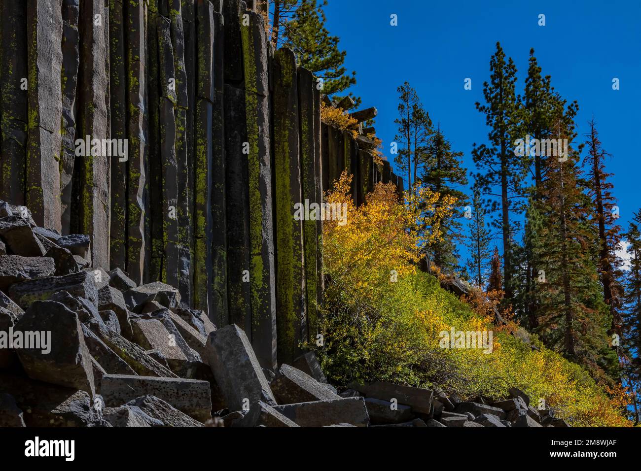 Basaltic columns created by cooling lava in Devils Postpile National ...