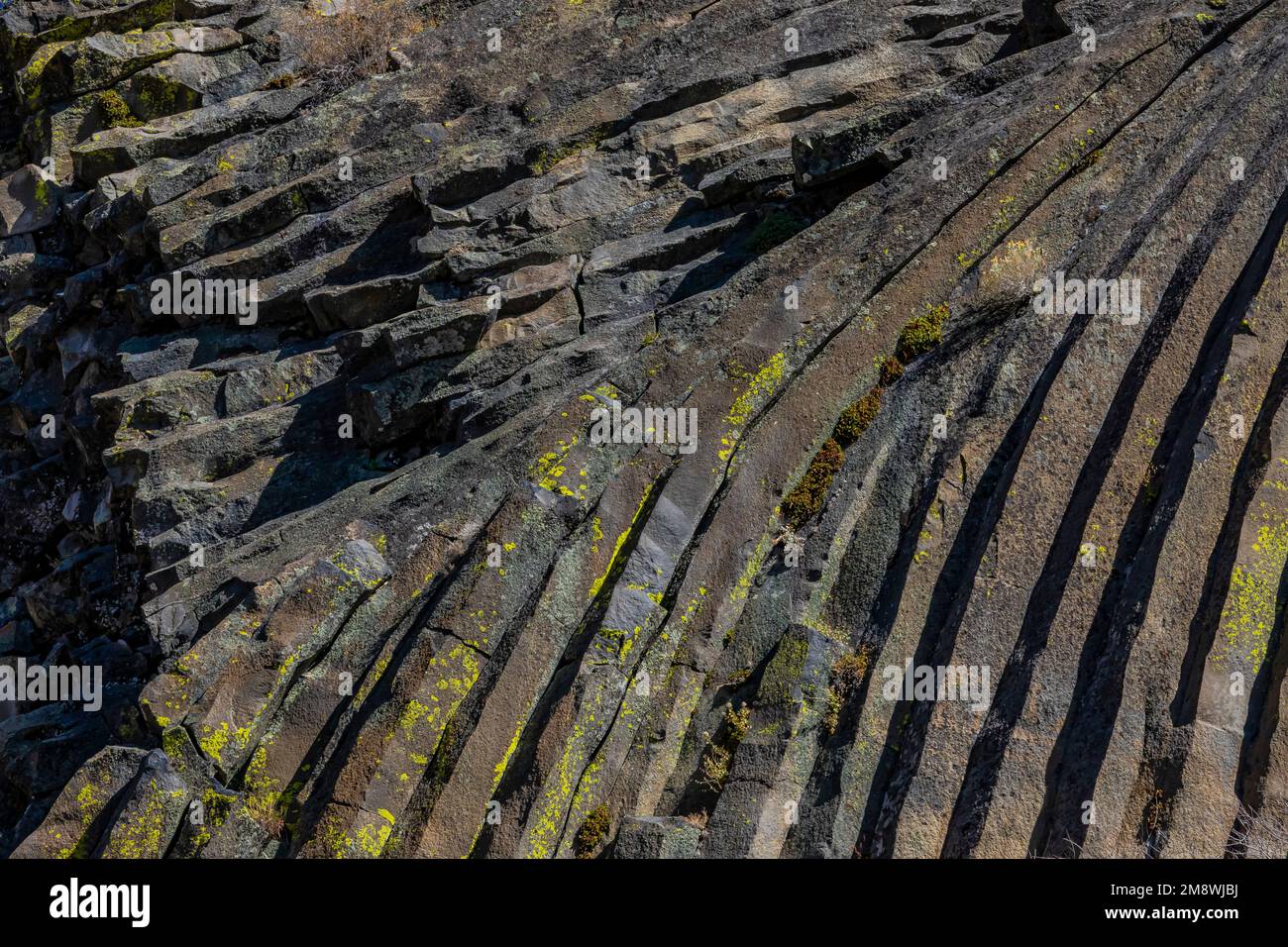 Basaltic columns created by cooling lava in Devils Postpile National ...