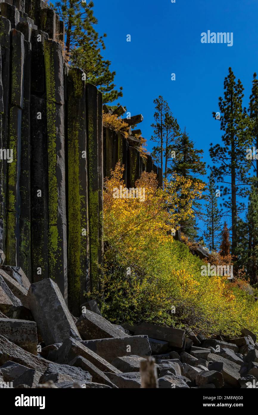 Basaltic columns created by cooling lava in Devils Postpile National ...