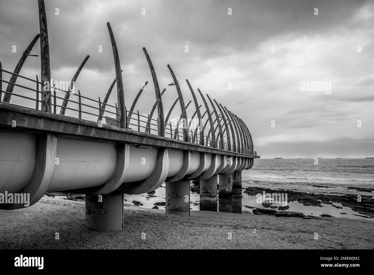 Umhlanga Black and White Stock Photos & Images - Alamy