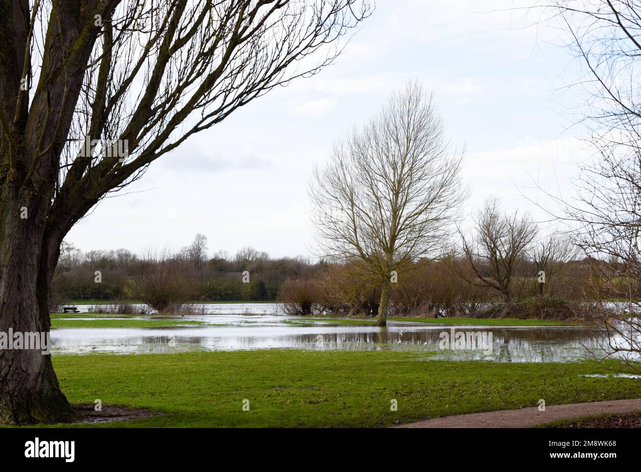 Flood water in a public park after the river banks burst from heavy ...
