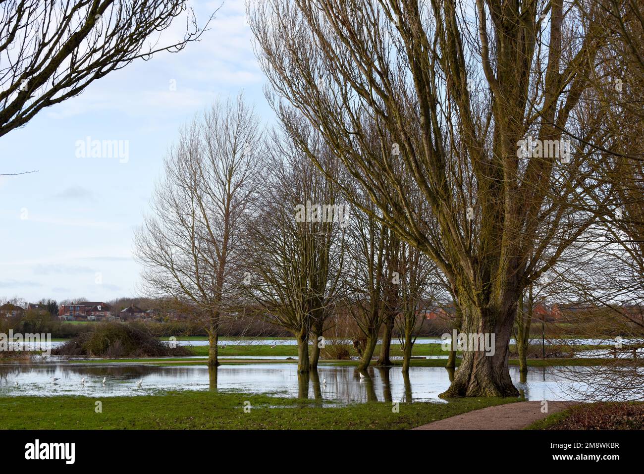 Flood water in a public park after the river banks burst from heavy ...