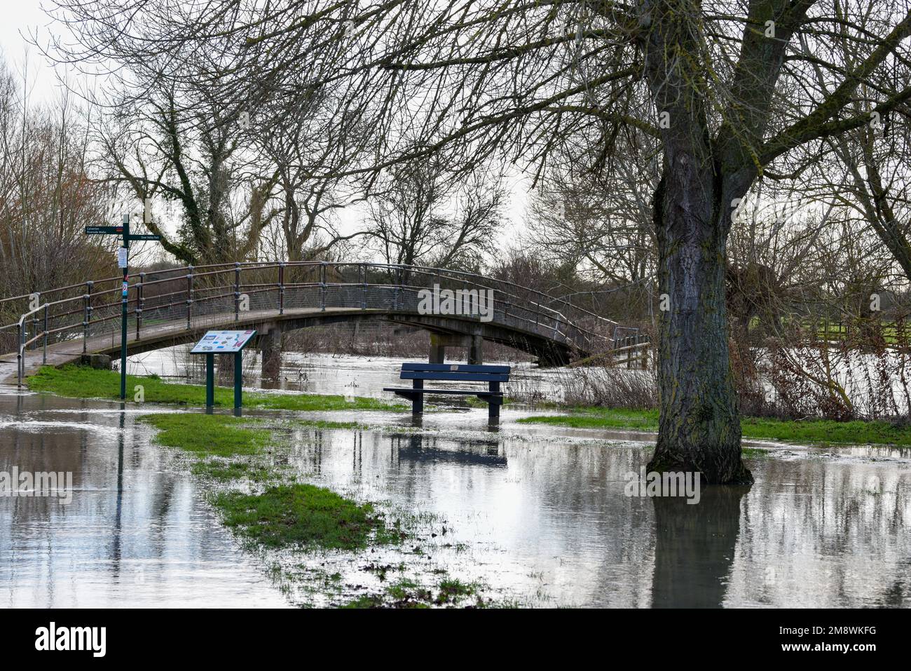 Flood water in a public park after the river banks burst from heavy ...