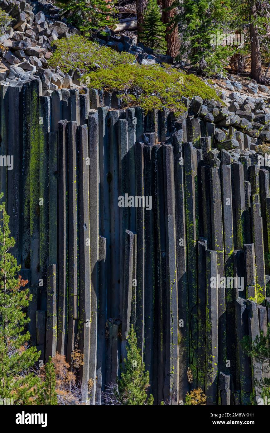 Basaltic columns created by cooling lava in Devils Postpile National ...