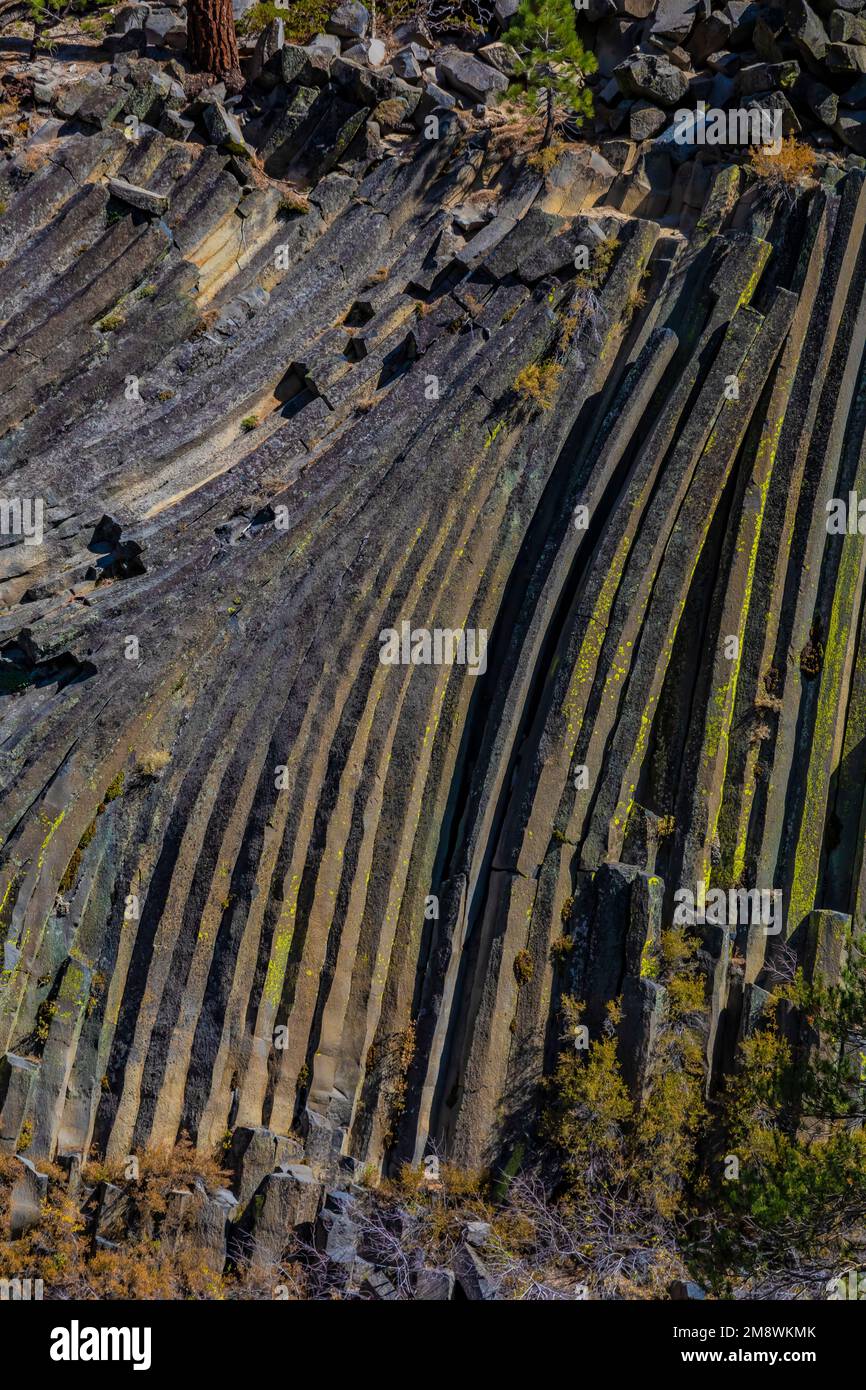 Basaltic columns created by cooling lava in Devils Postpile National ...
