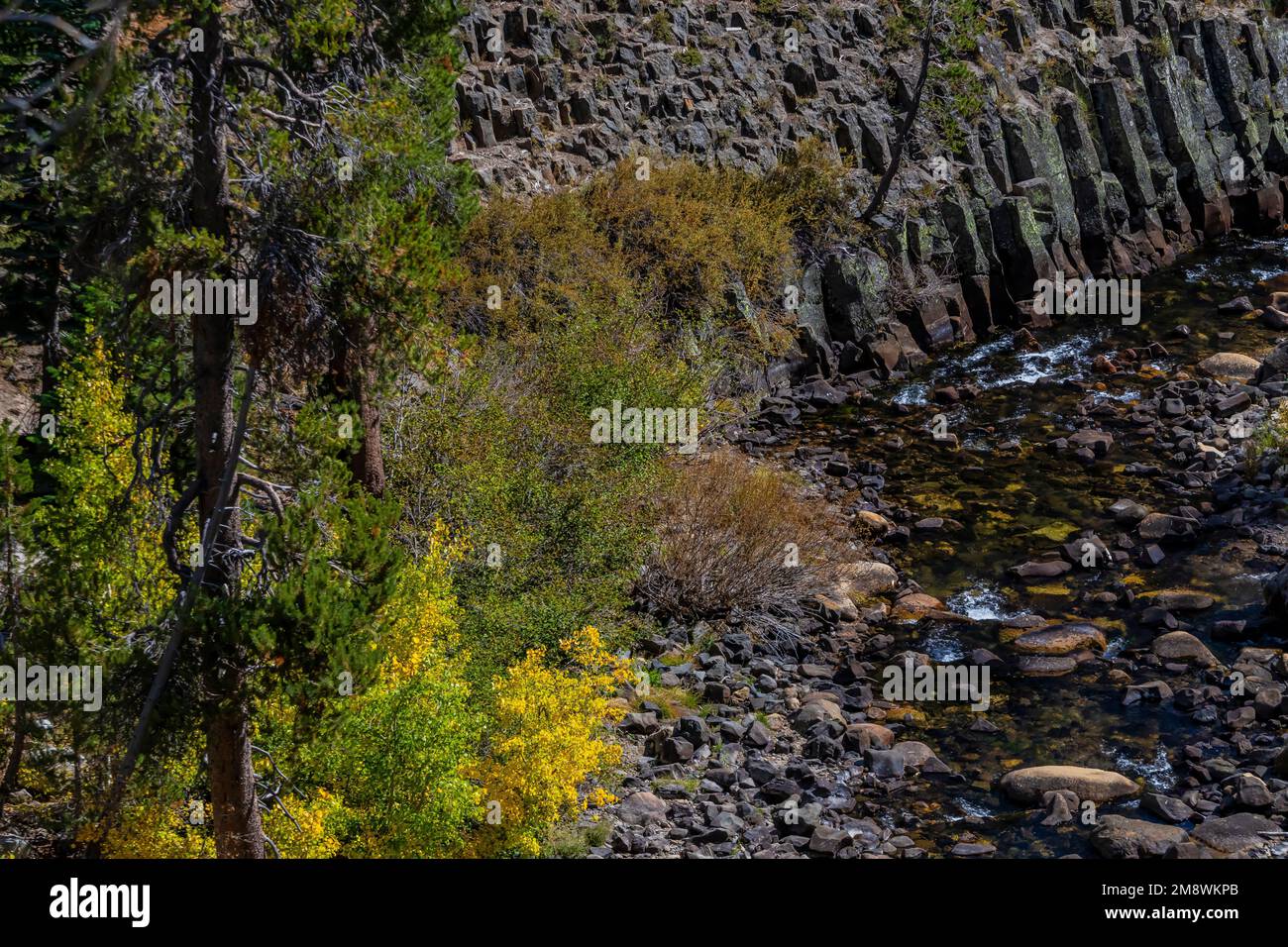 Basaltic columns created by cooling lava in Devils Postpile National ...
