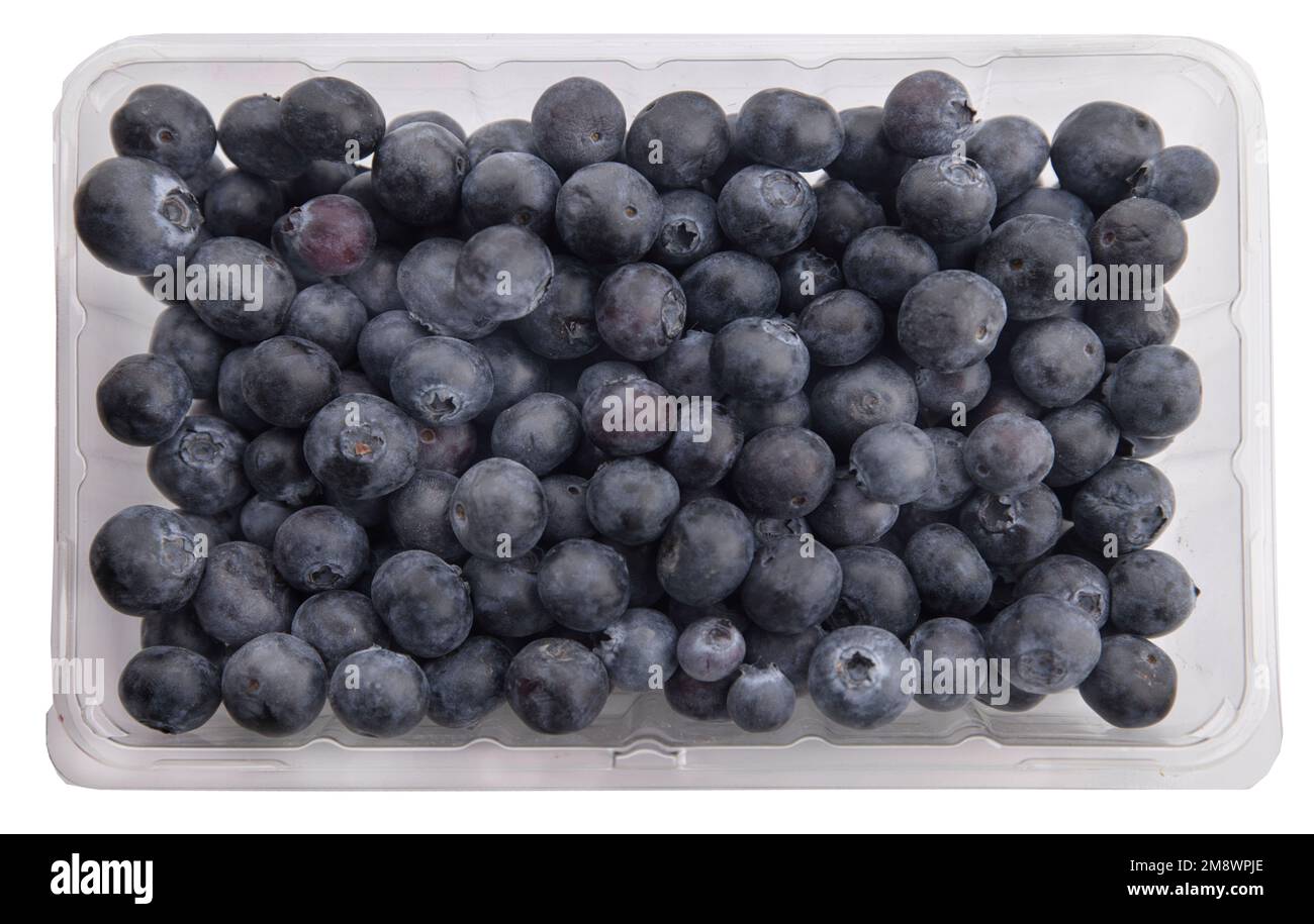 Blueberries container hi-res stock photography and images - Alamy