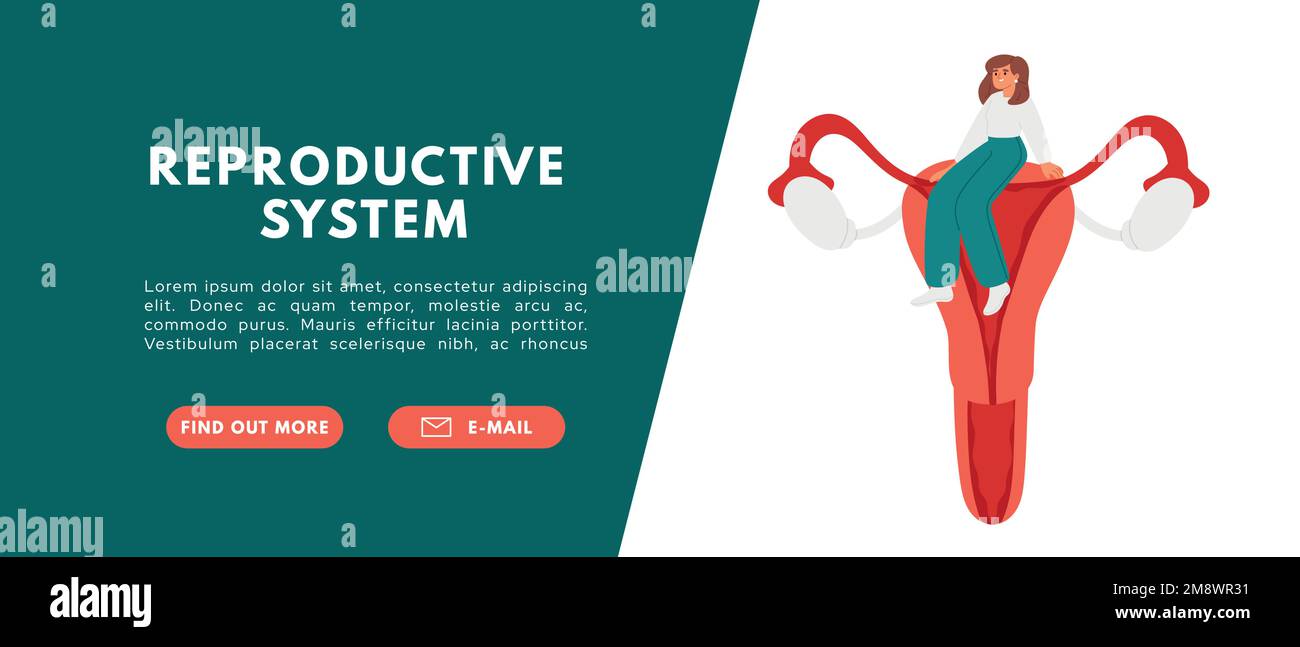 Woman health. Pain in uterus. Gynecology problems.Flat vector isolated ...