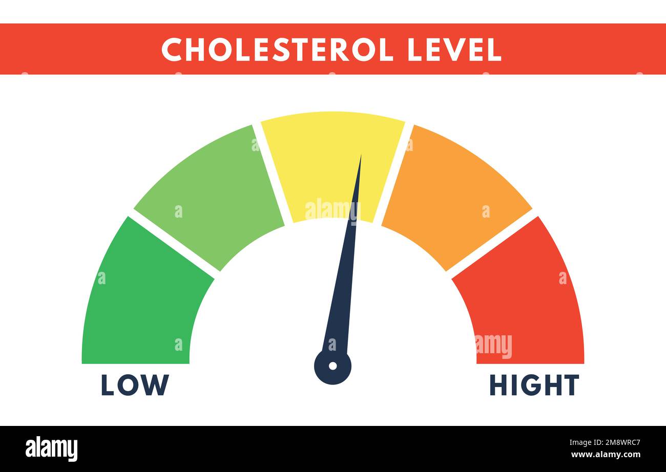 Cholesterol Meter. Level scale of hyperlipidemia. Check of blood. Vector isolated illustration ...