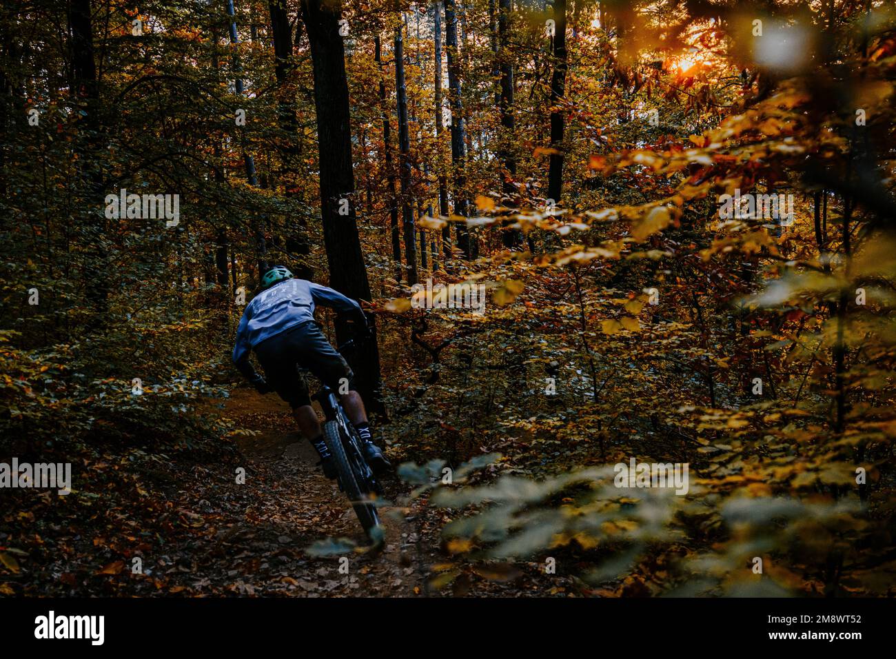 A man riding bicycle in the forest Stock Photo - Alamy