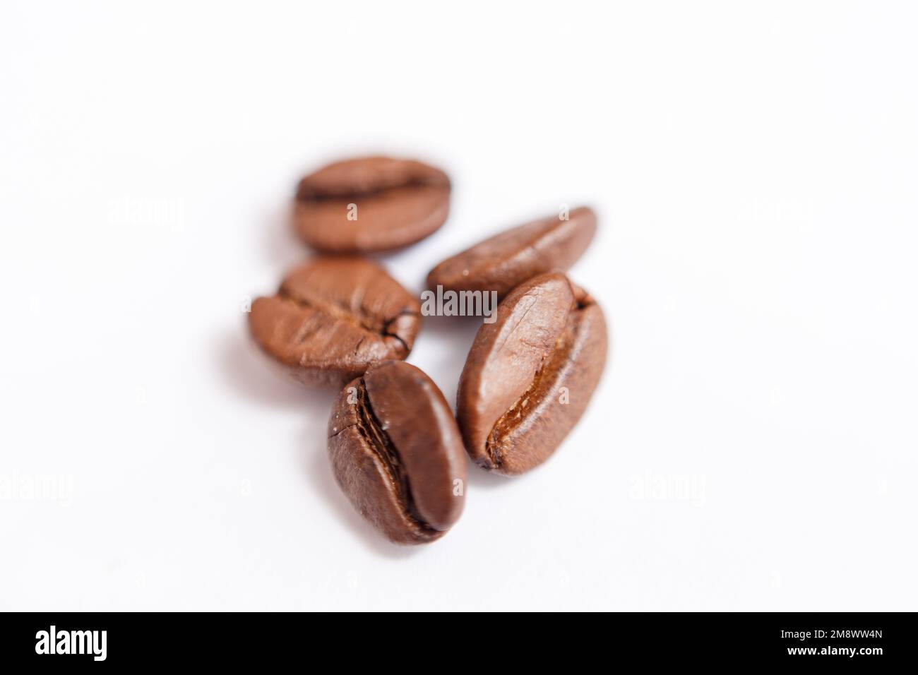 several grains of roasted coffee on a white background. macro ...