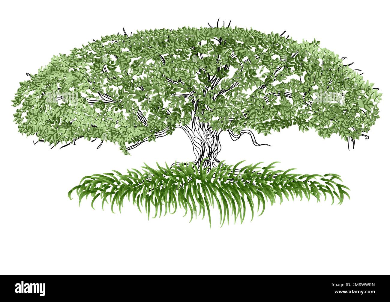 big tree vector illustration isolated on white background Stock Vector ...