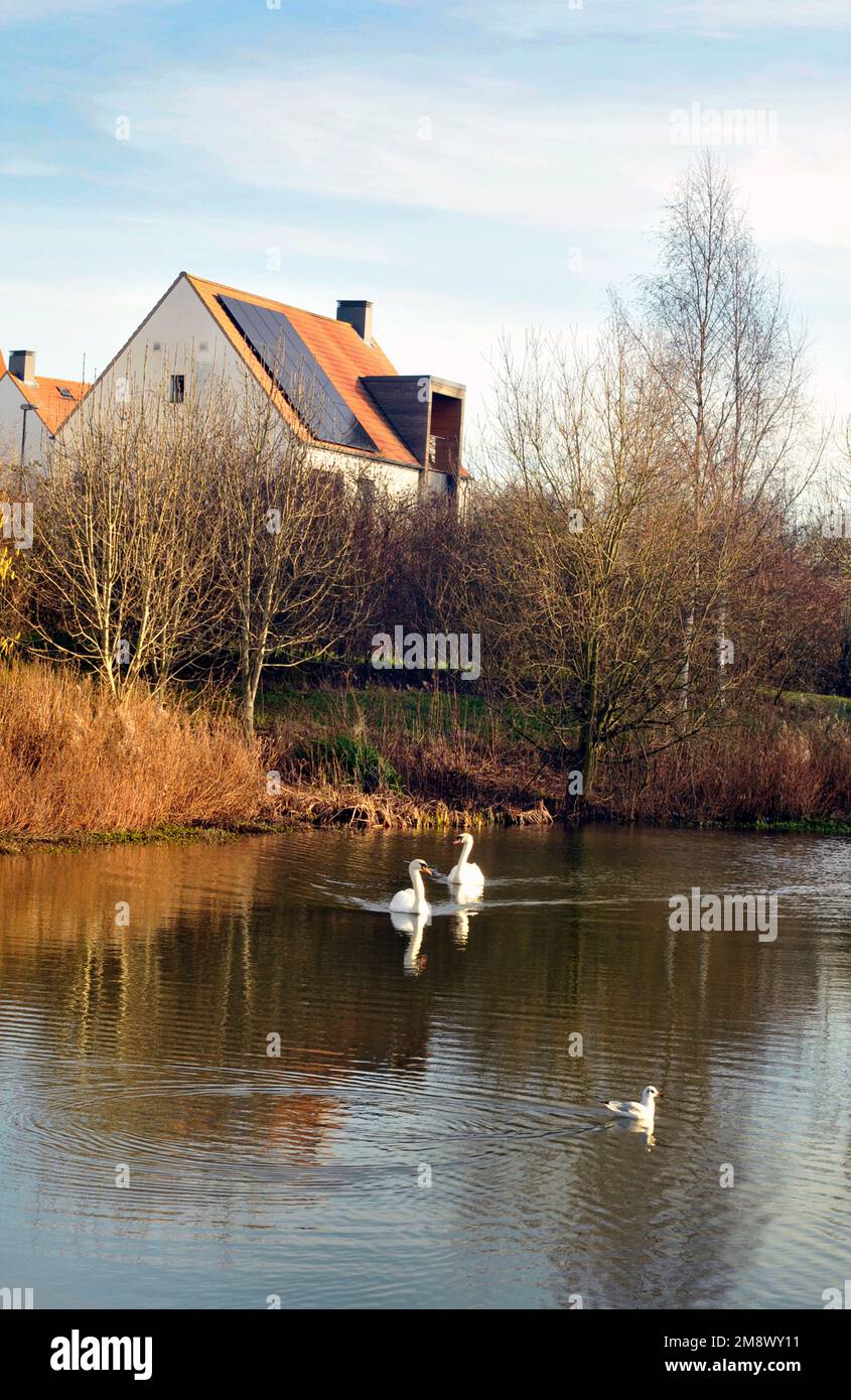 Derwenthorpe york hi-res stock photography and images - Alamy