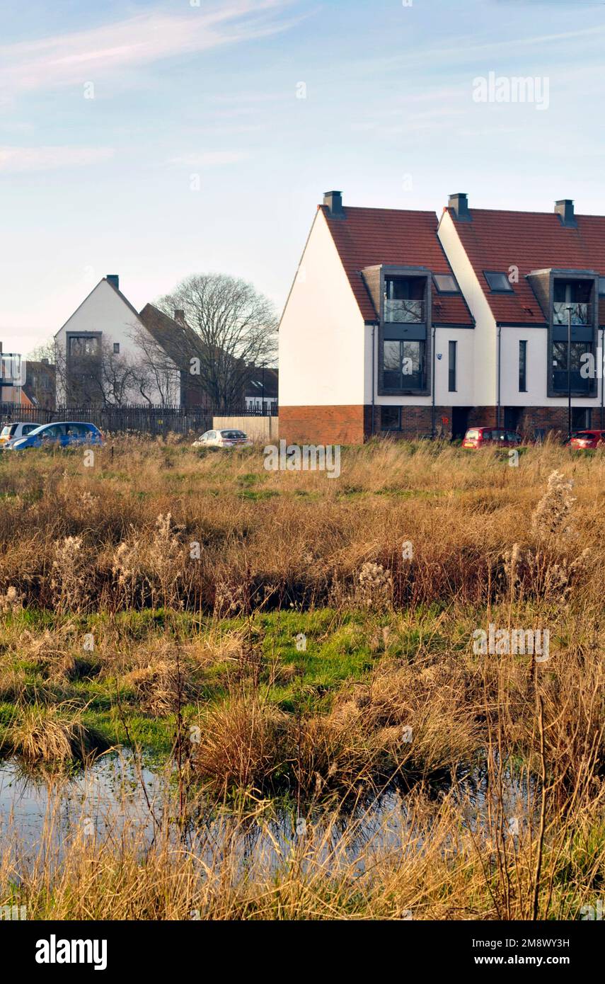 New york swans hi-res stock photography and images - Alamy