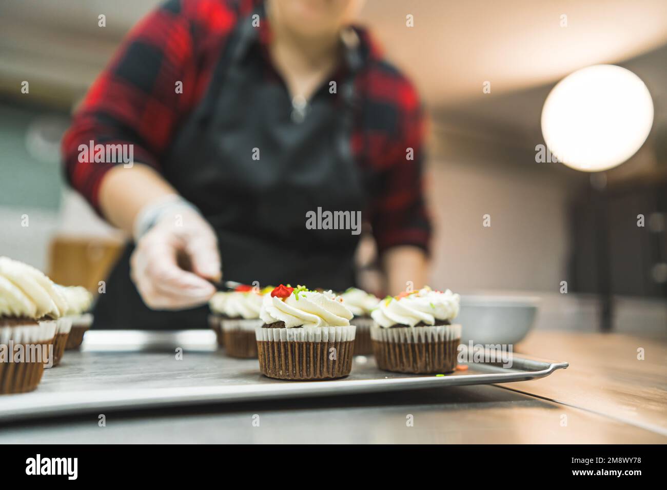 Chocolate cupcakes with vanilla frosting decorated with sprinkles by ...