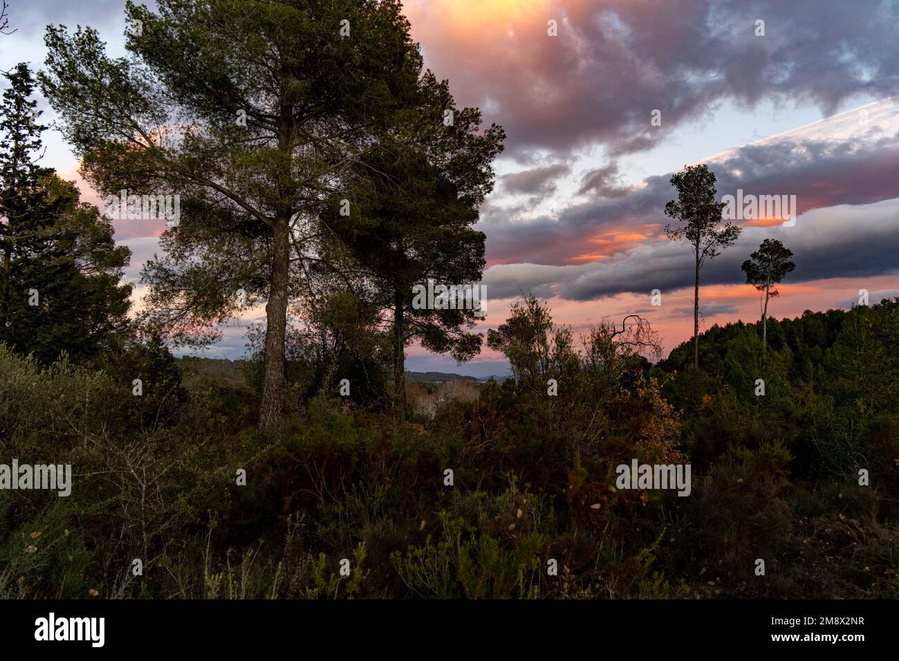Catalonia, Spain. 15th Jan, 2023. Spain is preparing for a strong ...