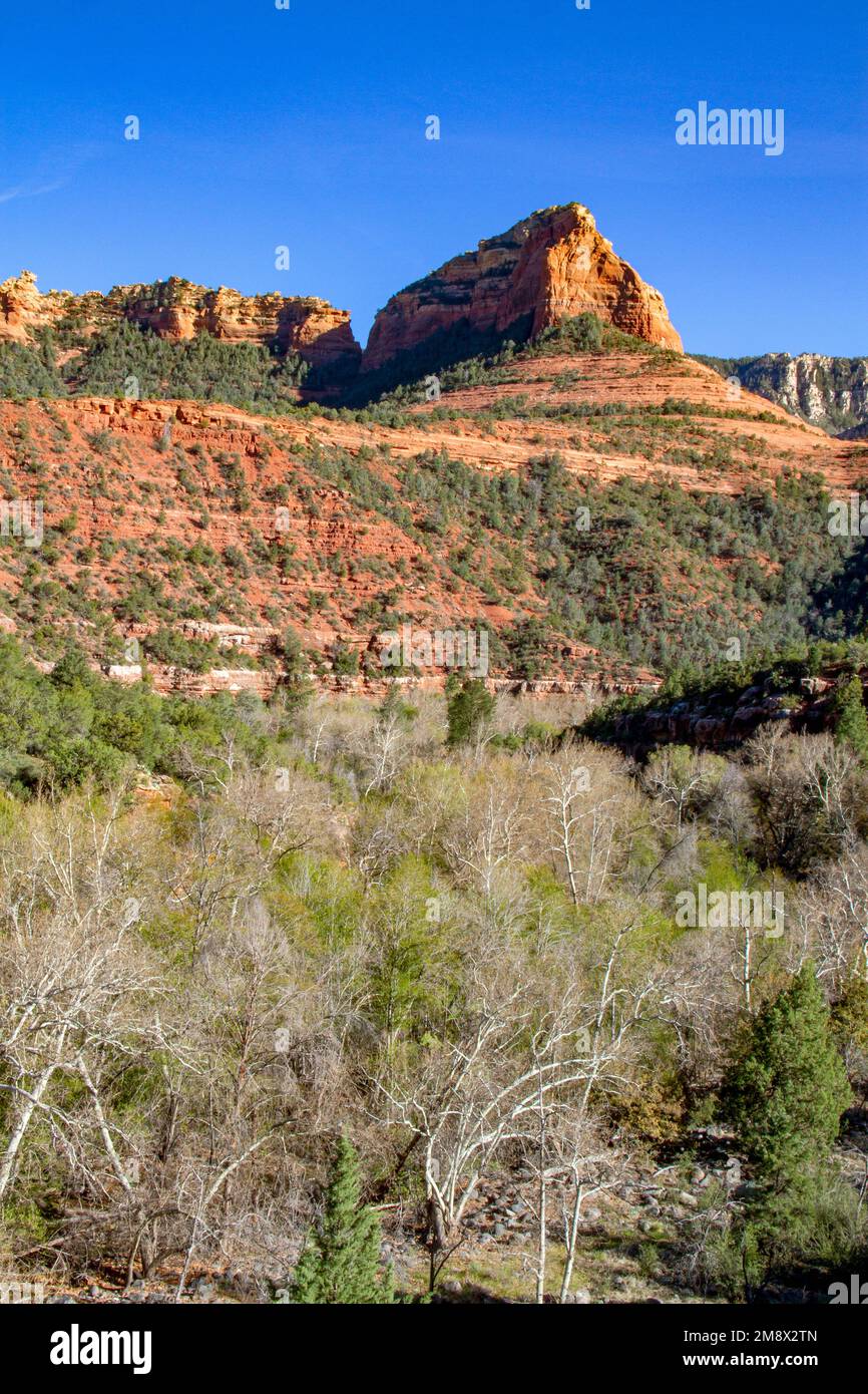 Coconino National Forest in Sedona, Arizona, USA. (2011 Stock Photo - Alamy