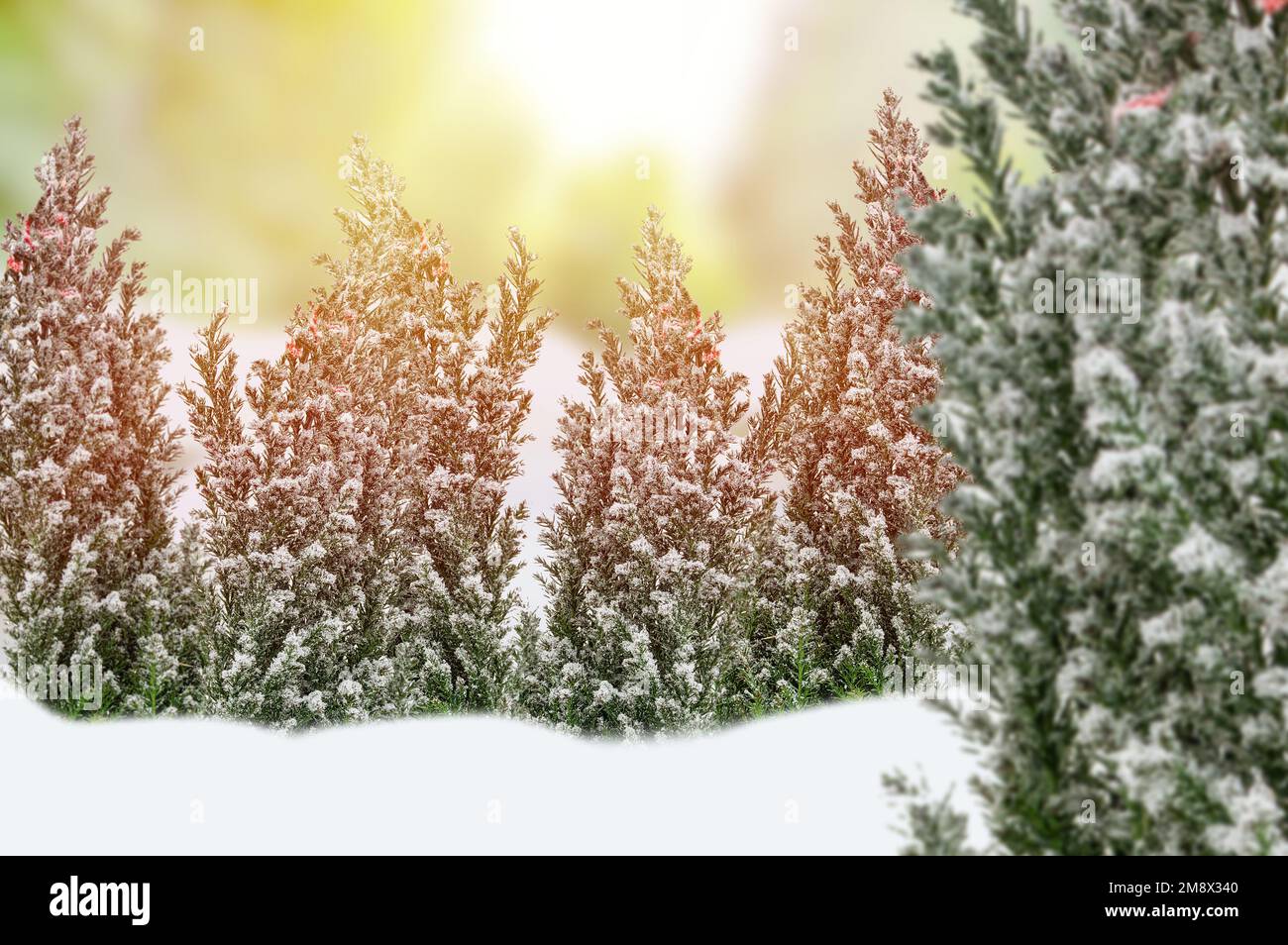 Beautiful winter landscape sun hi-res stock photography and images - Alamy