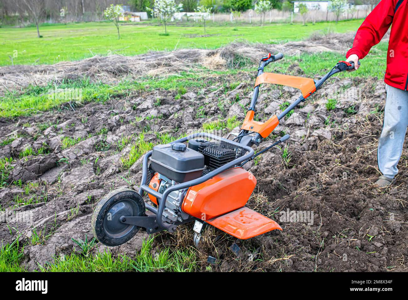 Soil before and after treatment with a cultivator. The soil plowed by ...