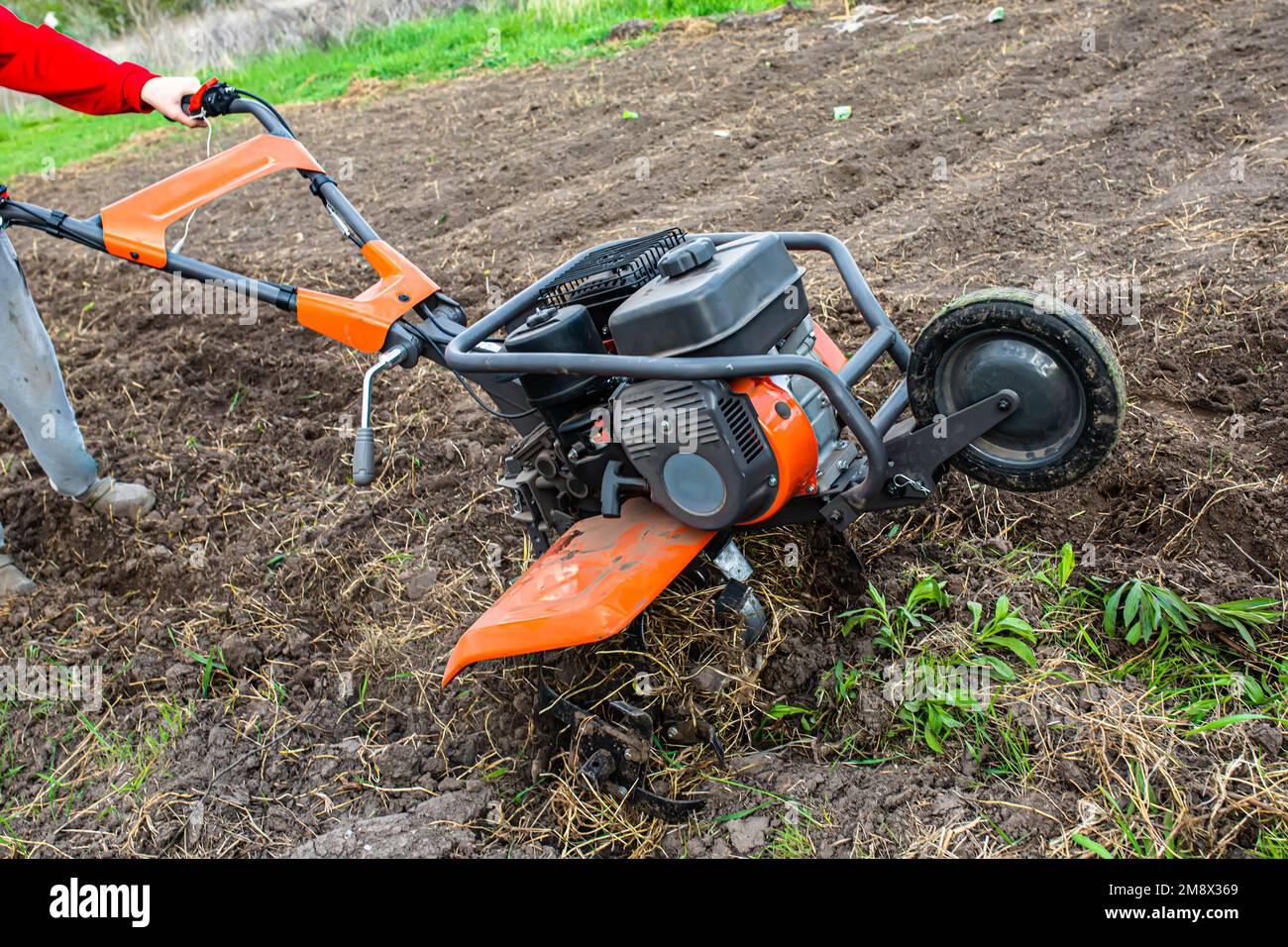 Work on the field of a home farm. Plowing the garden with a cultivator ...