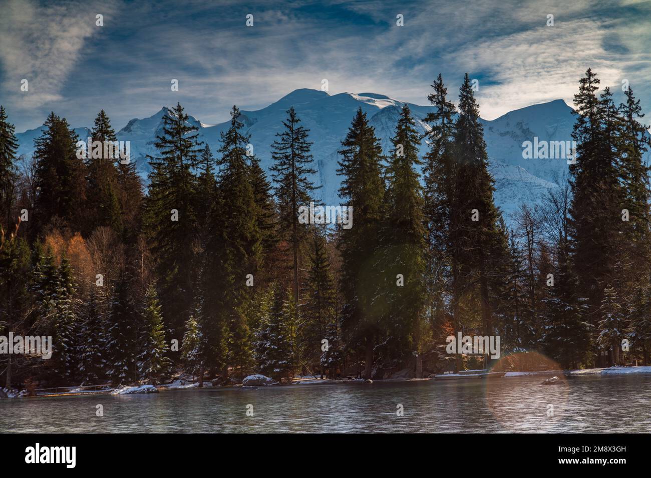 Pine trees on Lac Vert (Mountain Lake Stock Photo - Alamy