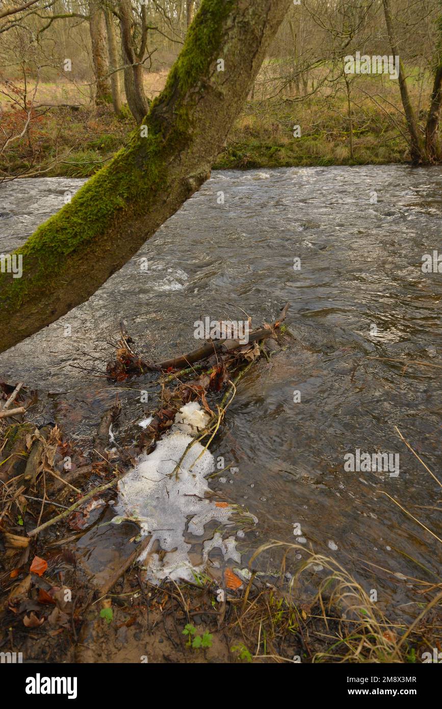 Pollution from agricultural runoff Stock Photo - Alamy